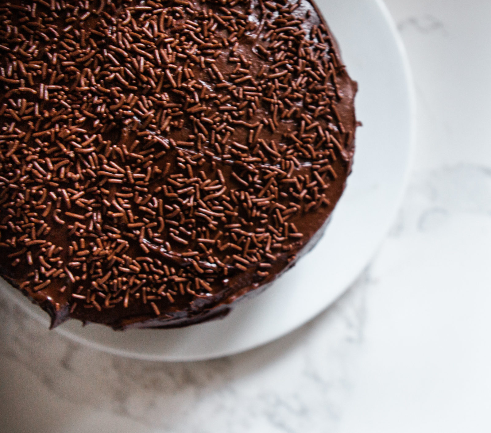 The Absolute Best Chocolate Mocha Cake - Jordan Jean